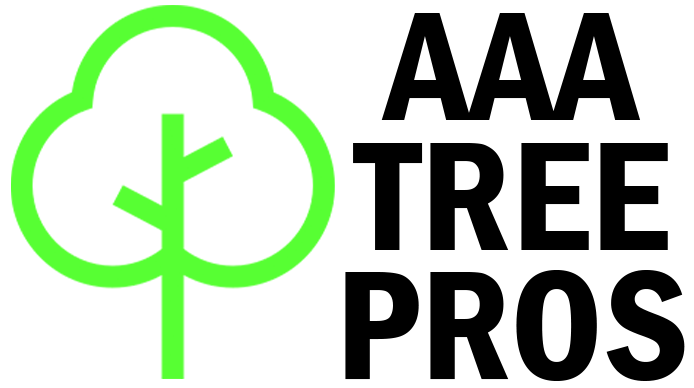 AAA Tree Pros | Rice, MN | Tree Company, Tree Services